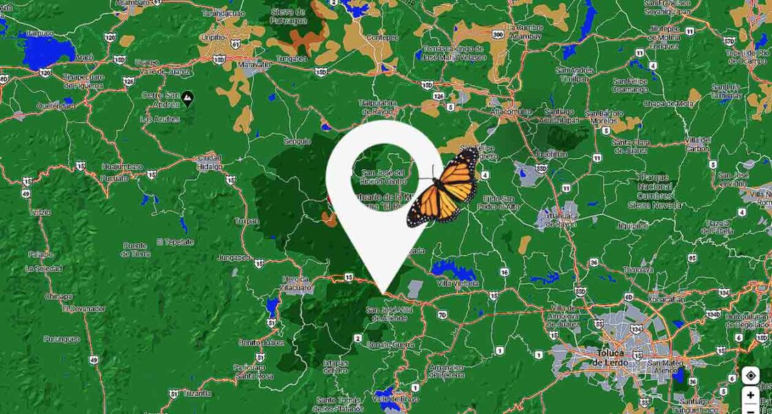 Santuario de la Mariposa Monarca: Ubicación exacta