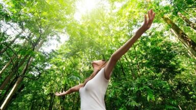 Los mejores lugares de Quintana Roo: 12 imperdibles - viajaBonito