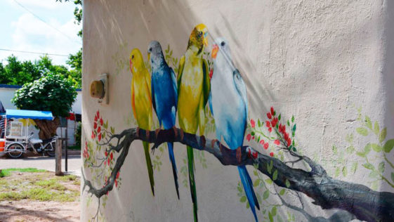 Cócorit Sonora, pueblito custodiado por pajaritos - viajaBonito