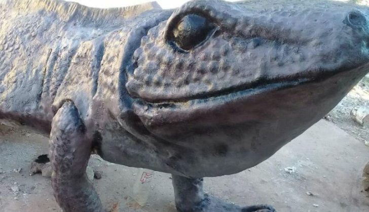 Cócorit Sonora, pueblito custodiado por pajaritos - viajaBonito