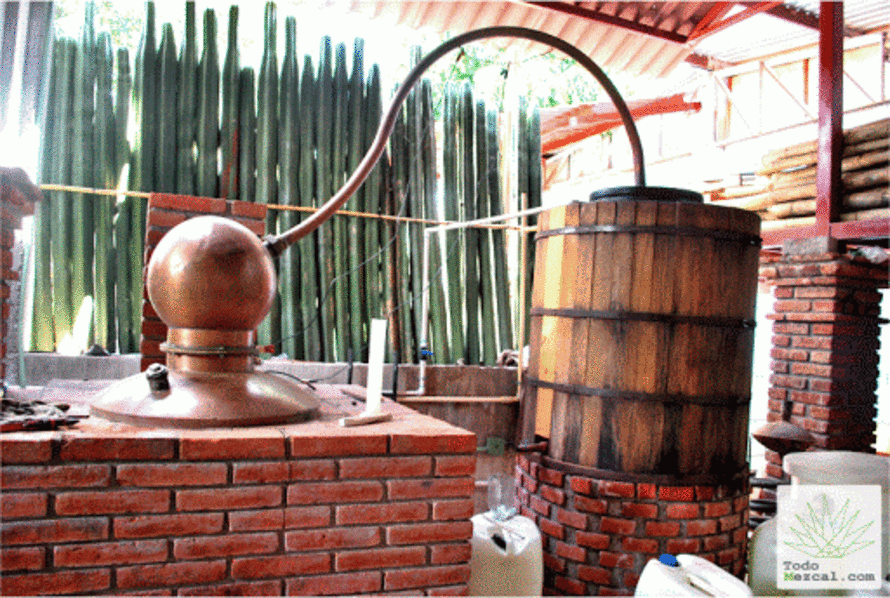 ¿Cómo se hace el Mezcal? Historia y tipos viajaBonito