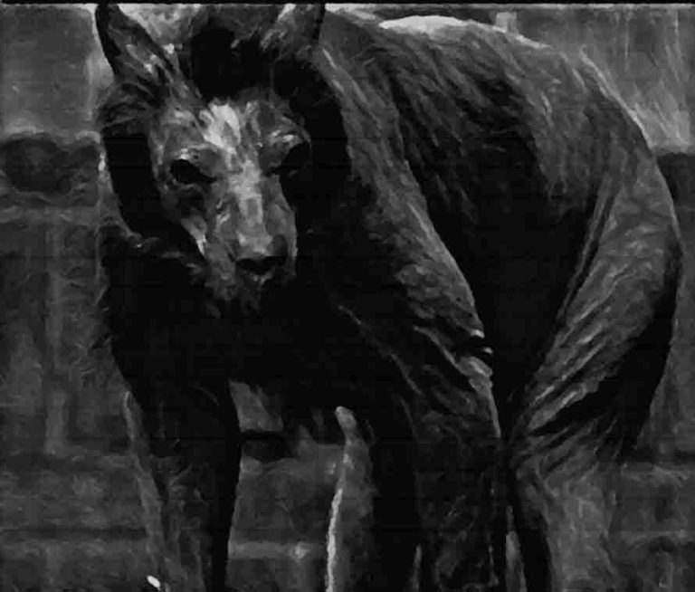 Leyenda del Nahual de Tlaxcala ¿Mitad animal, mitad humano?