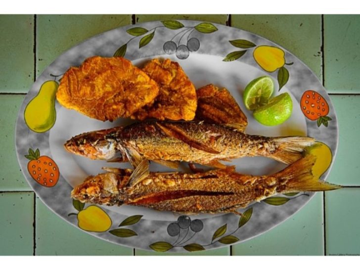 Gastronomía de Nayarit: 10 platillos típicos exquisitos