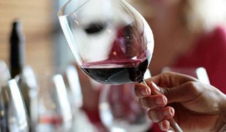 Cata de Vinos: ¿Cómo hacerlo en 8 sencillos pasos? - viajaBonito