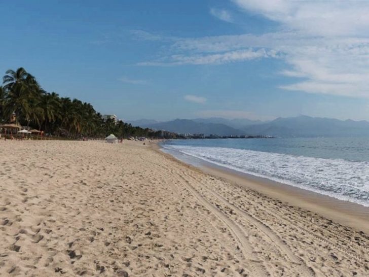 Playas bioluminiscentes en México: 5 que no te puedes perder