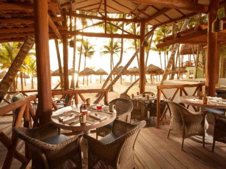 ¿Dónde comer en Playa del Carmen? (y antros) Top 10