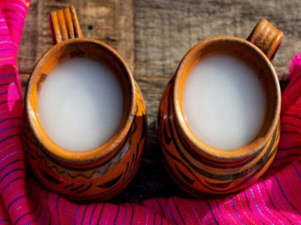 ¿Qué es el pulque? 7 datos que te harán amarlo - viajaBonito