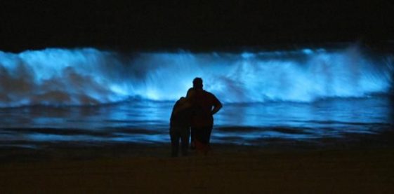 Playas bioluminiscentes en México: 5 que no te puedes perder