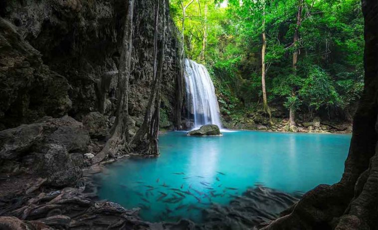 El Cielo Tamaulipas: Una Reserva de la Biósfera de ensueño