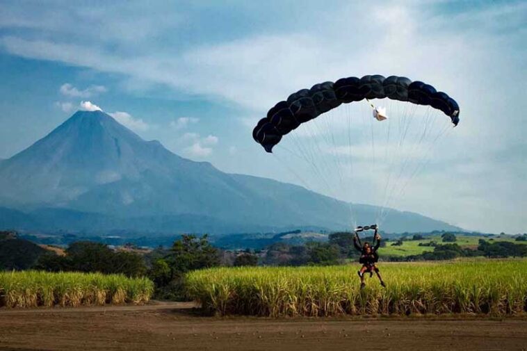 ¿Qué hacer en Colima? Los "Perritos Colimotes" te esperan aquí