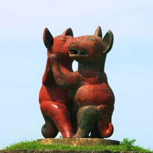 El Cielo Tamaulipas: Una Reserva de la Biósfera de ensueño