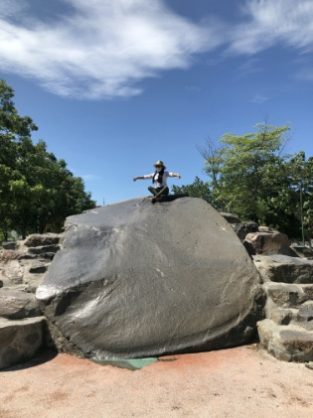 ¿Qué hacer en Colima? Los "Perritos Colimotes" te esperan aquí