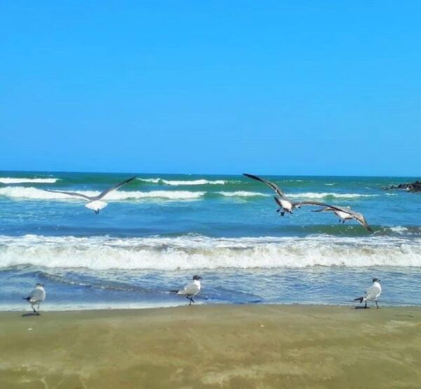 ¿Qué hacer en Veracruz? Los 7 sitios más interesantes - viajaBonito