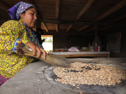 Experiencias Raramuri: Los Tarahumaras en acción