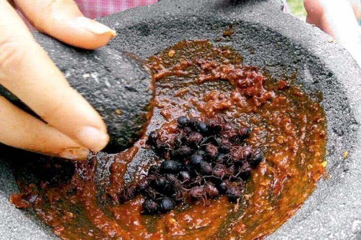Gastronomía de Oaxaca: 5 insectos que comerás con gusto