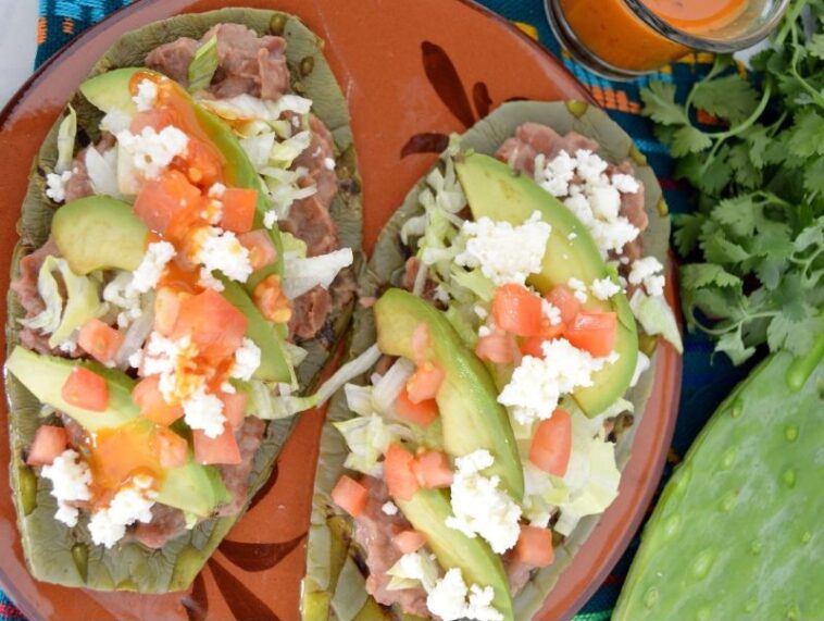 Beneficios del Nopal mexicano: 7 datos que no te dijeron