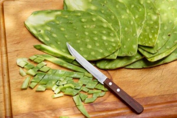 Beneficios del Nopal mexicano: 7 datos que no te dijeron