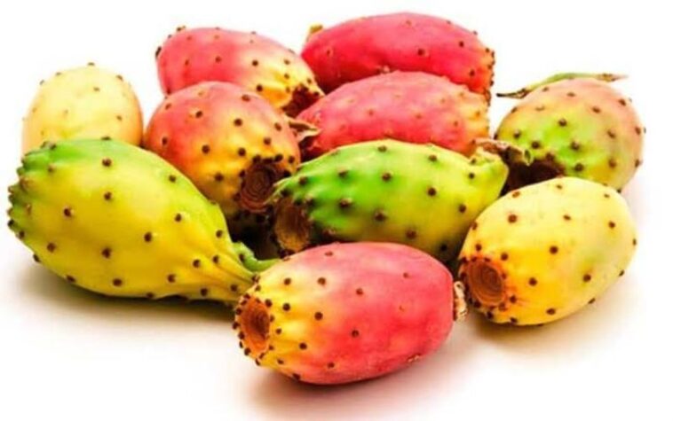 Beneficios del Nopal mexicano: 7 datos que no te dijeron