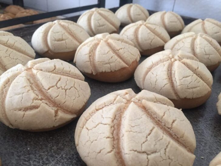 Gastronomía de Colima: 12 Platillos típicos. - viajaBonito