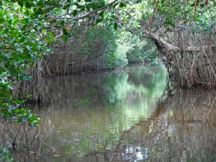 Playas de Veracruz: Las 15 mejores y más bonitas