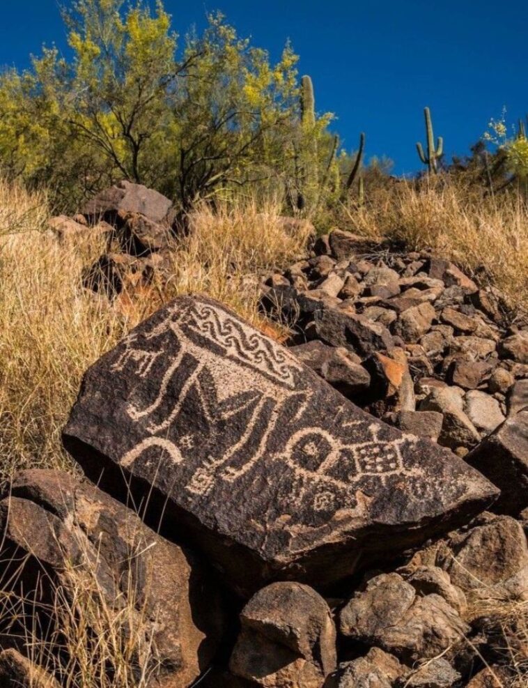 ¿Qué hacer en Sonora? 15 opciones ultra sorprendentes!