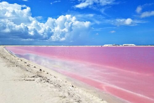Las Coloradas Yucatán: Guía TOTAL para disfrutarlas