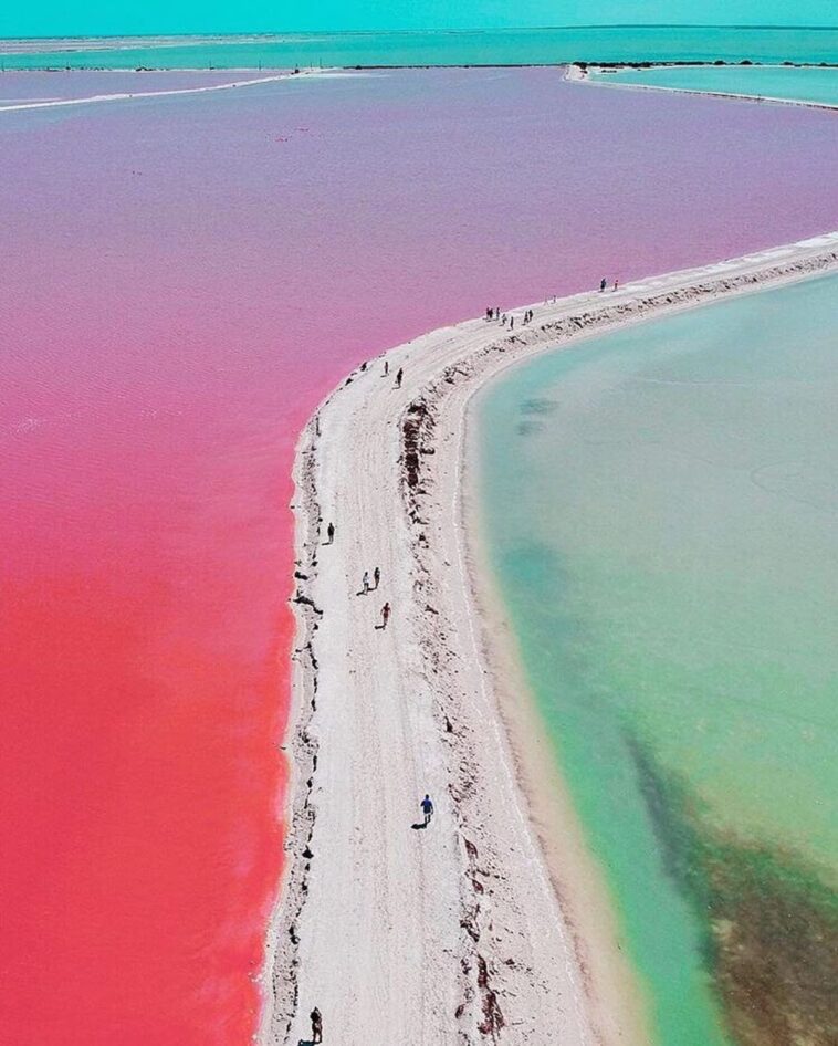 Las Coloradas Yucatán: Guía TOTAL para disfrutarlas