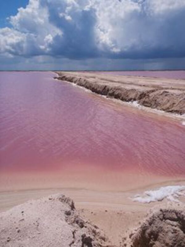 Las Coloradas Yucatán: Guía TOTAL para disfrutarlas