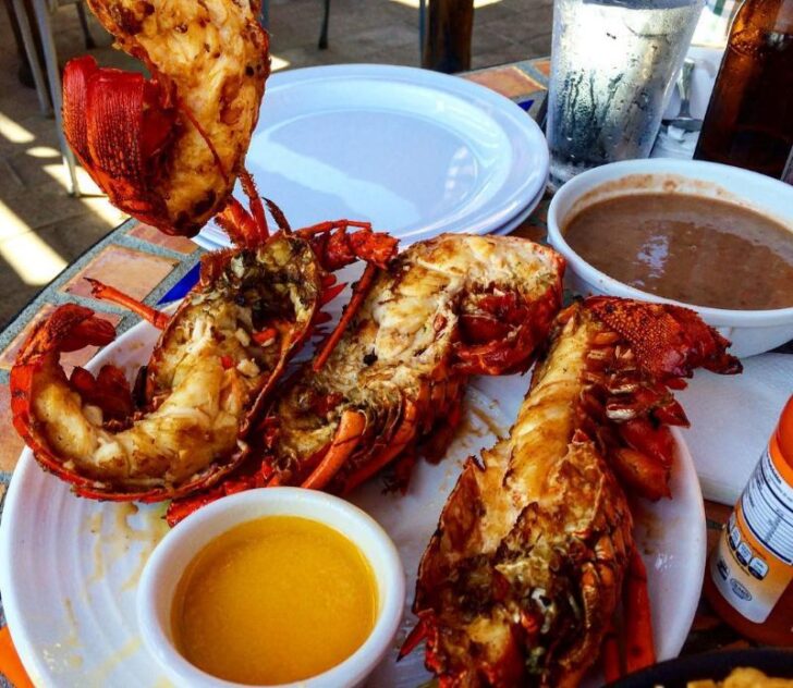 Comida Típica de Baja California: 12 platillos para volverse loco