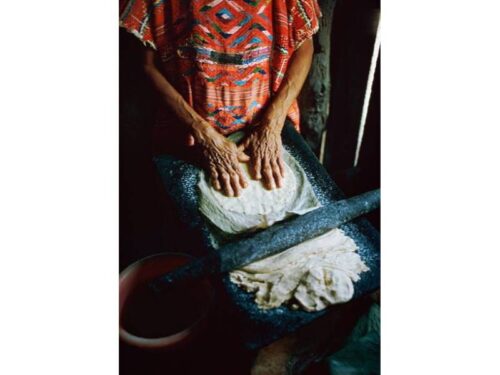 Comida Prehispánica: 20 manjares ancestrales suculentos