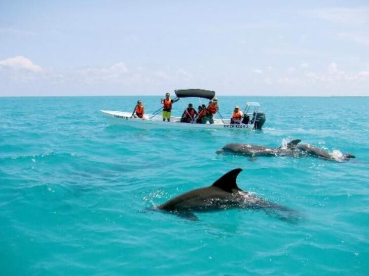 Isla Aguada Campeche: 10 cosas que hacer en este nuevo pueblo mágico.