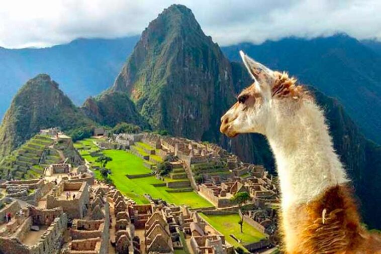 Viajes a Perú desde México: Machu Picchu y Cusco en PAGOS