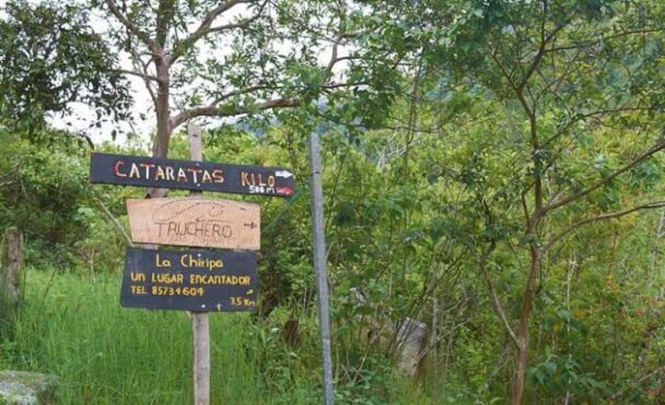Ruta del café Chiapas: todo lo que debes saber. - viajaBonito