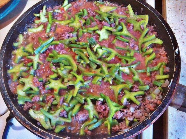 Comida Típica de Tamaulipas: Sus 16 maravillas gastronómicas