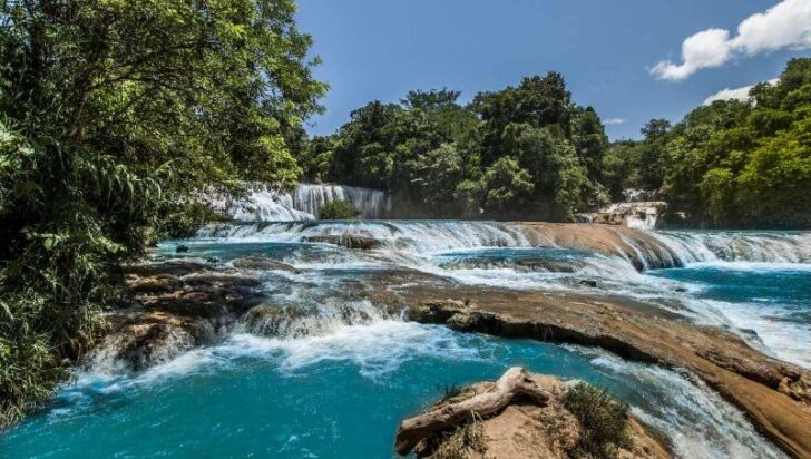 Cascadas de Agua Azul Chiapas: GUÍA TOTAL para visitarlas