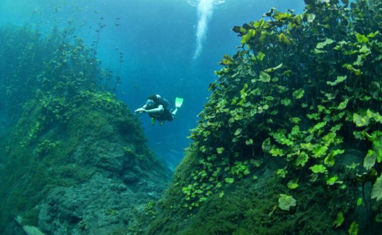 Media Luna San Luis Potosí: El manantial de belleza inenarrable