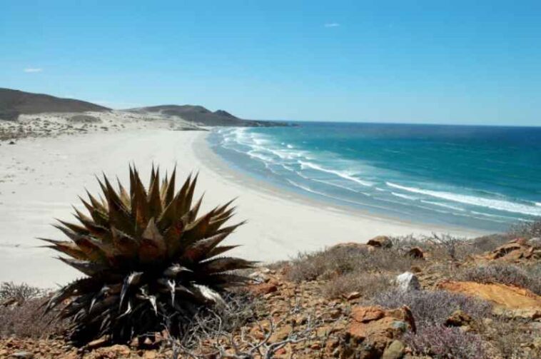 Playa Balandra: 7 razones por que es la más bonita de México