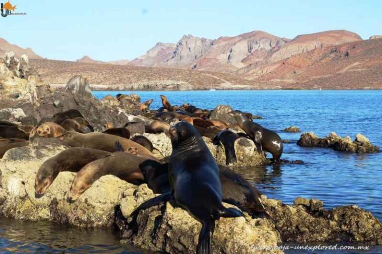 Playa Balandra: 7 razones por que es la más bonita de México