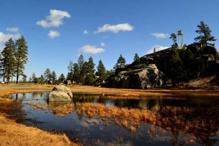 ¿Qué hacer en Ensenada? 20 cosas que quizá no sabías