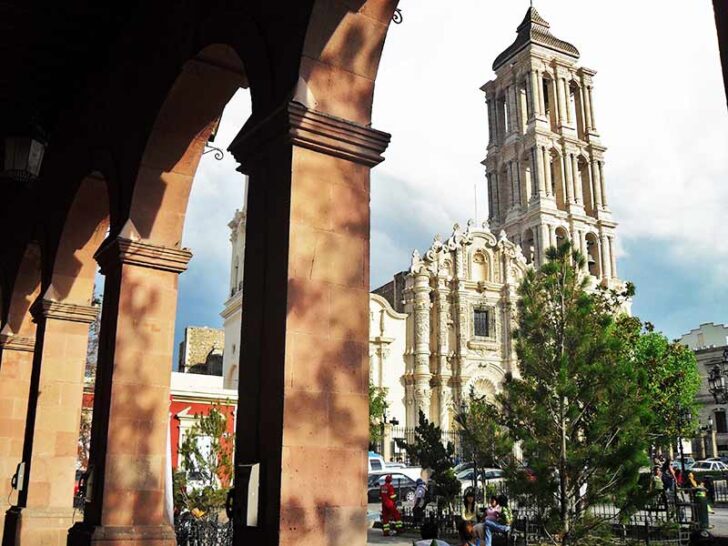 ¿Qué hacer en Saltillo? Dinosaurios! y otros 12 imperdibles