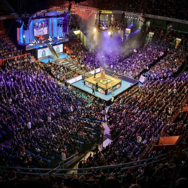 Tour privado Lucha Libre Mexicana - Arena México - viajaBonito