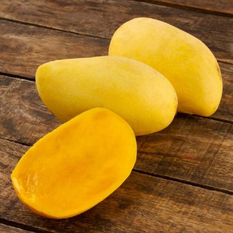 Mango Ataulfo: Su historia y 10 curiosidades