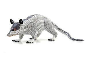 Tlacuache mexicano: ¿Por qué este marsupial es increíble? - viajaBonito