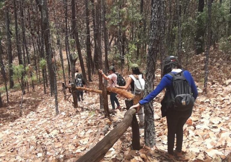 Qué hacer en la Sierra de Quila un tesoro natural - viajaBonito
