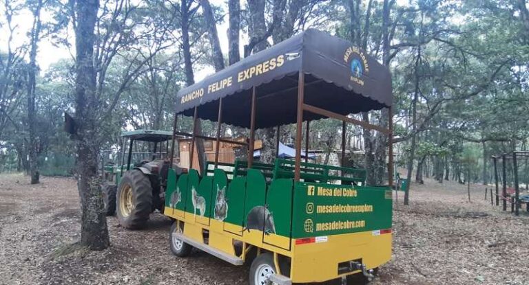 Qué hacer en la Sierra de Quila un tesoro natural - viajaBonito